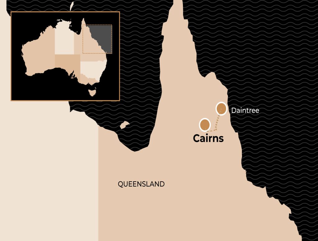 Daintree Rainforest | Worlds Oldest Surviving Tropical Rainforest ...